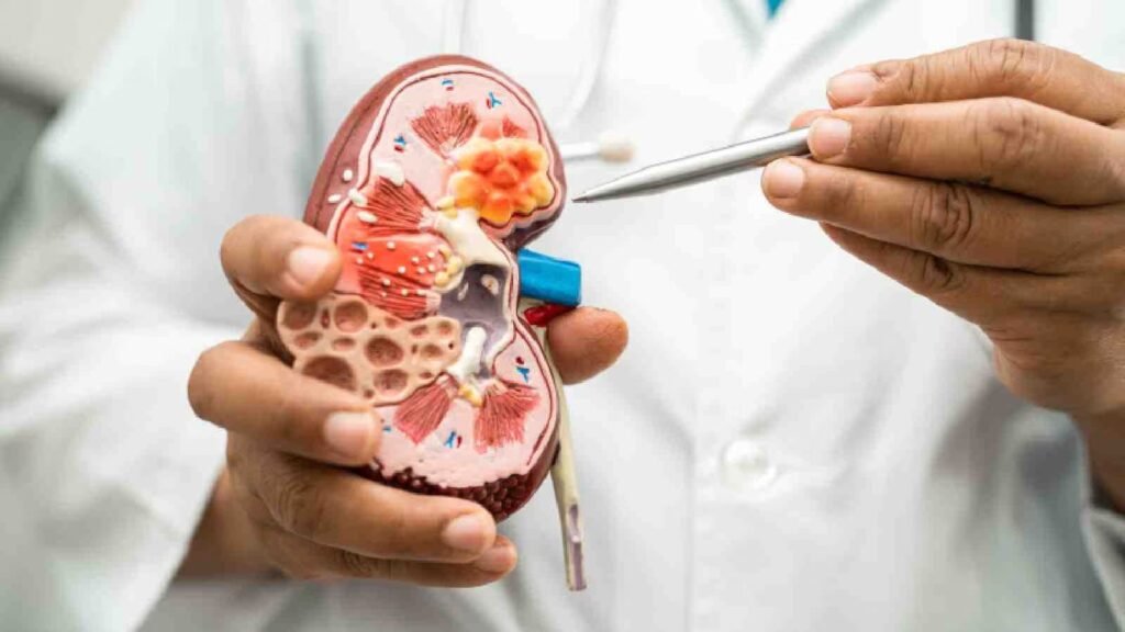 Top 10 Most Deadly Diseases in the World